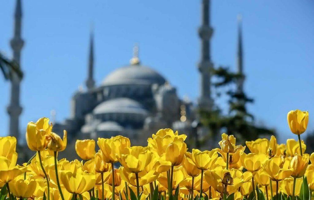 Paket Tour Turki April 2025 | Tour Ke Turki 2025 2026